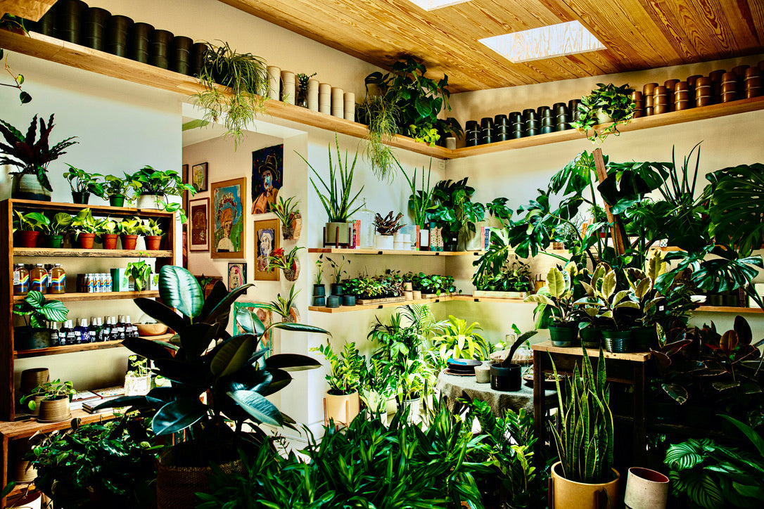 A Maker's Post – A Maker's Post